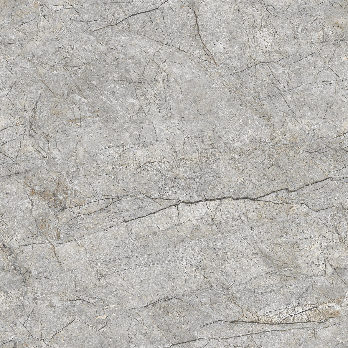 Forest grey Gloss 60x60 – SATS TILES